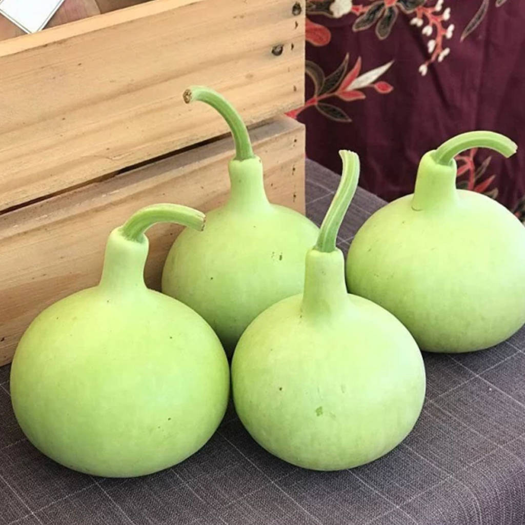 Round Guard – Vedic Farms